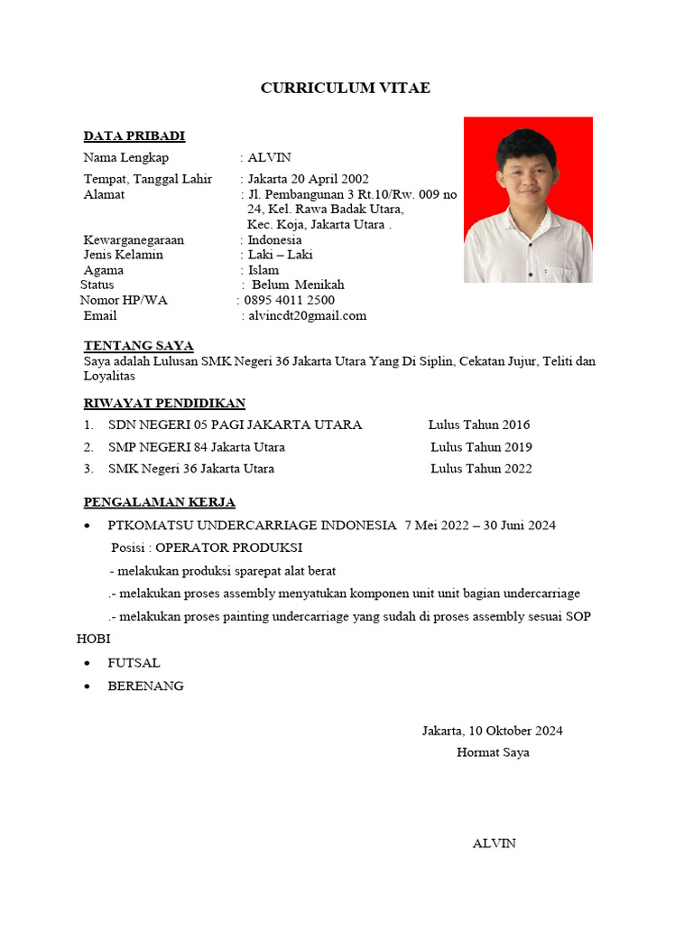 CV. Alvin New | PDF