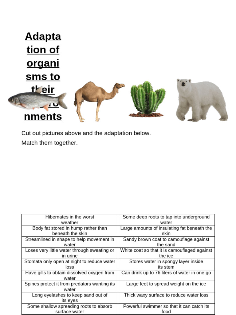 Science Project Grade 5 Adaptation | PDF | Cooking, Food & Wine ...