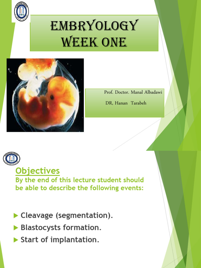 Embryology Week 1 | PDF | Human Reproduction | Biological Interactions