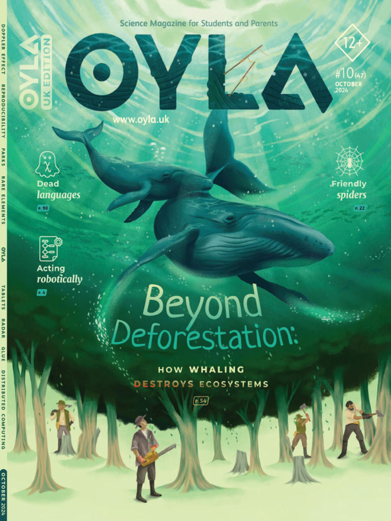 Oyla 2024.10 | PDF