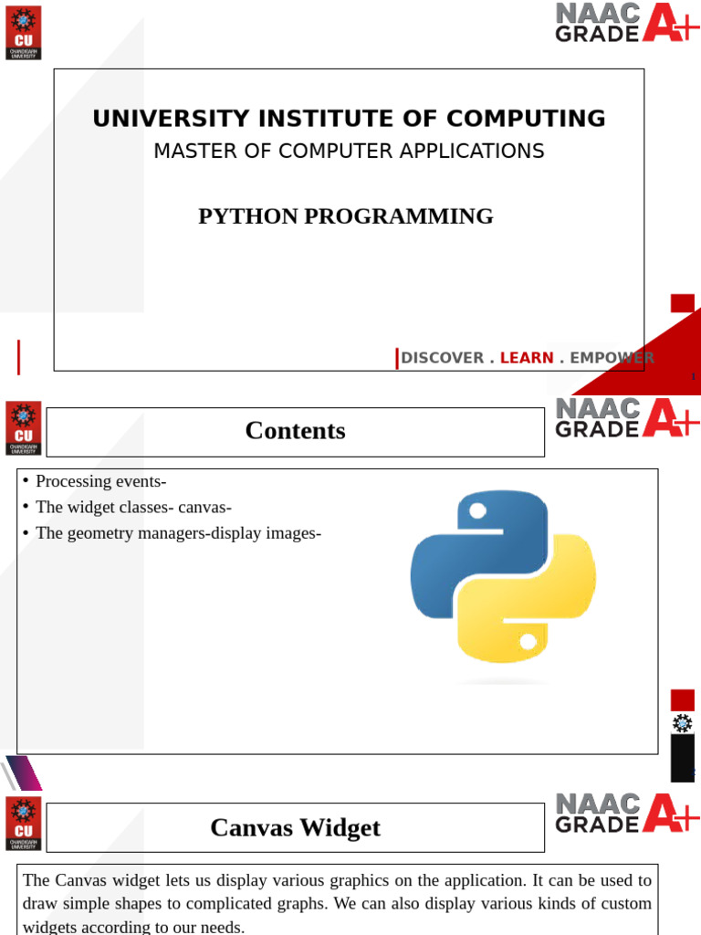 The Widget Classes Canvas Pdf Window Computing Computing