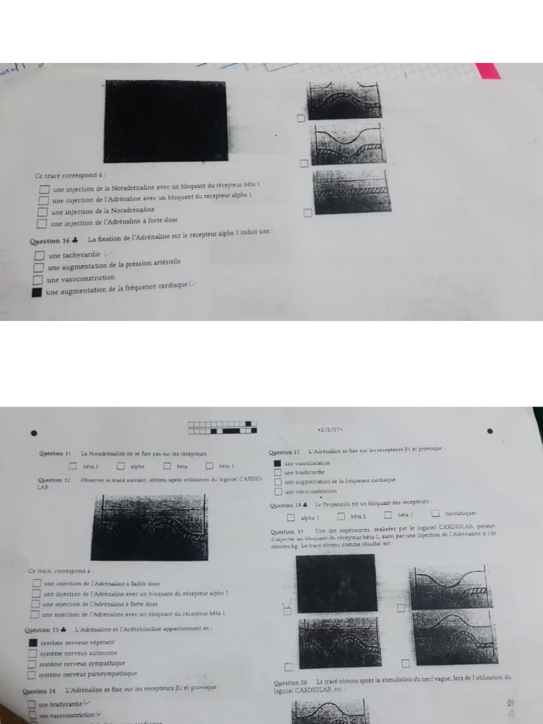 TP Phy Des Grandes Fonctions - 231009 - 105224 | PDF