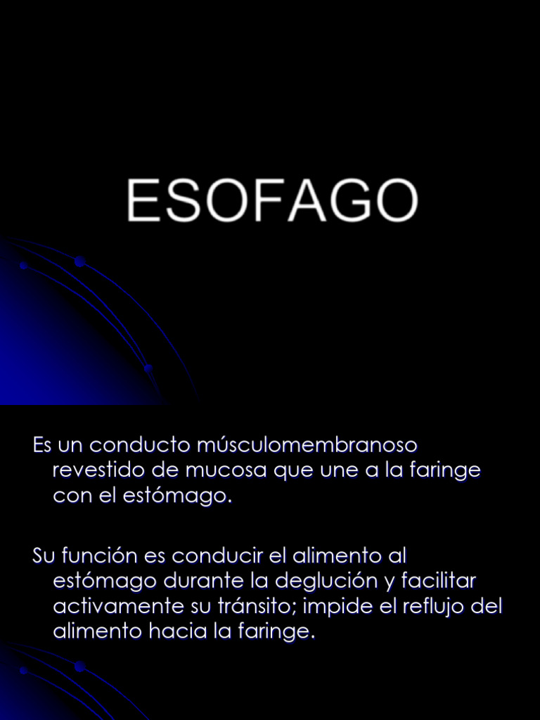 Anatomía y Función del Esófago | PDF | Abdomen | Esófago