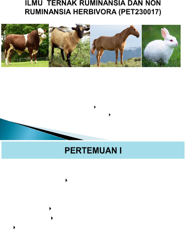 Pertemuan 1-Ilmu Ternak Ruminansia | PDF | Kesehatan Holistik
