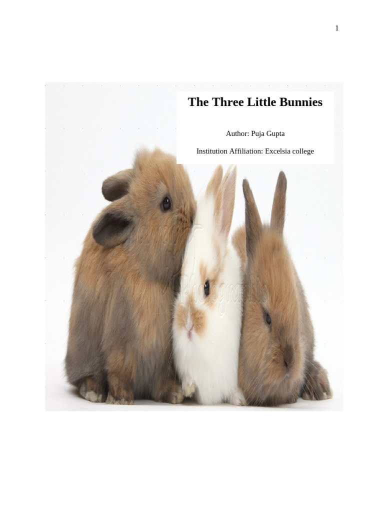 The Three Little Bunnies | PDF | Rabbit | Children's Literature