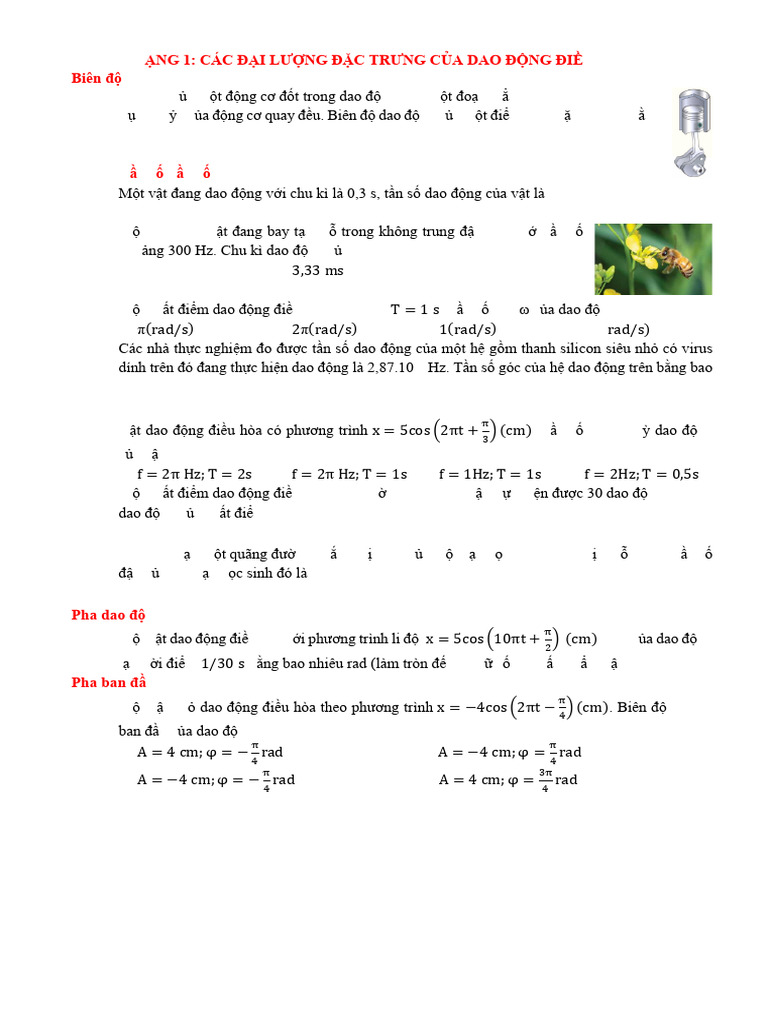 Dao Dong Dieu Hoa | PDF