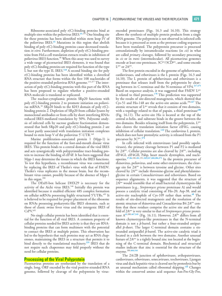 Processing of The Viral Polyprotein | PDF | Proteolysis | Rna