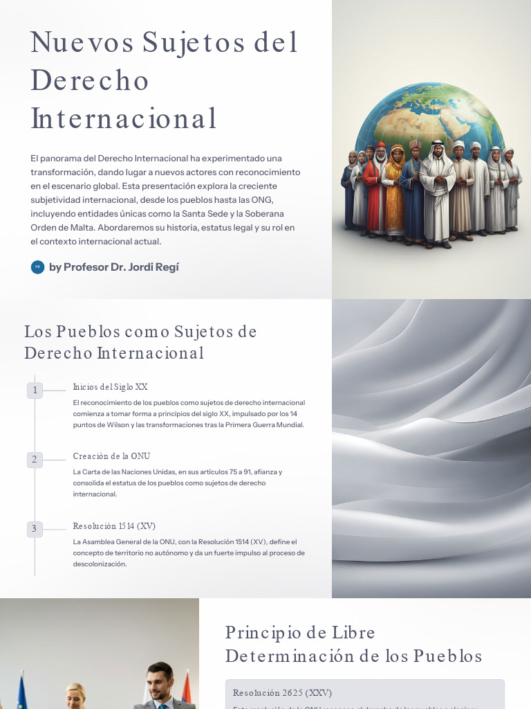 Tema 3es | PDF | Organización no gubernamental | Naciones Unidas