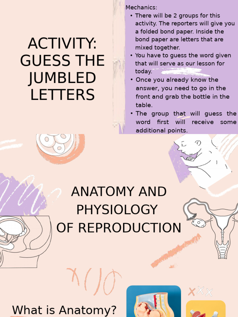 Anatomy and Physiology of Reproduction 2 | PDF | Menstrual Cycle | Labia
