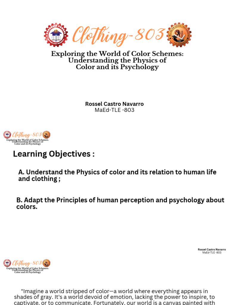 TLE Clothing 803 Reporting | PDF | Color | Perception