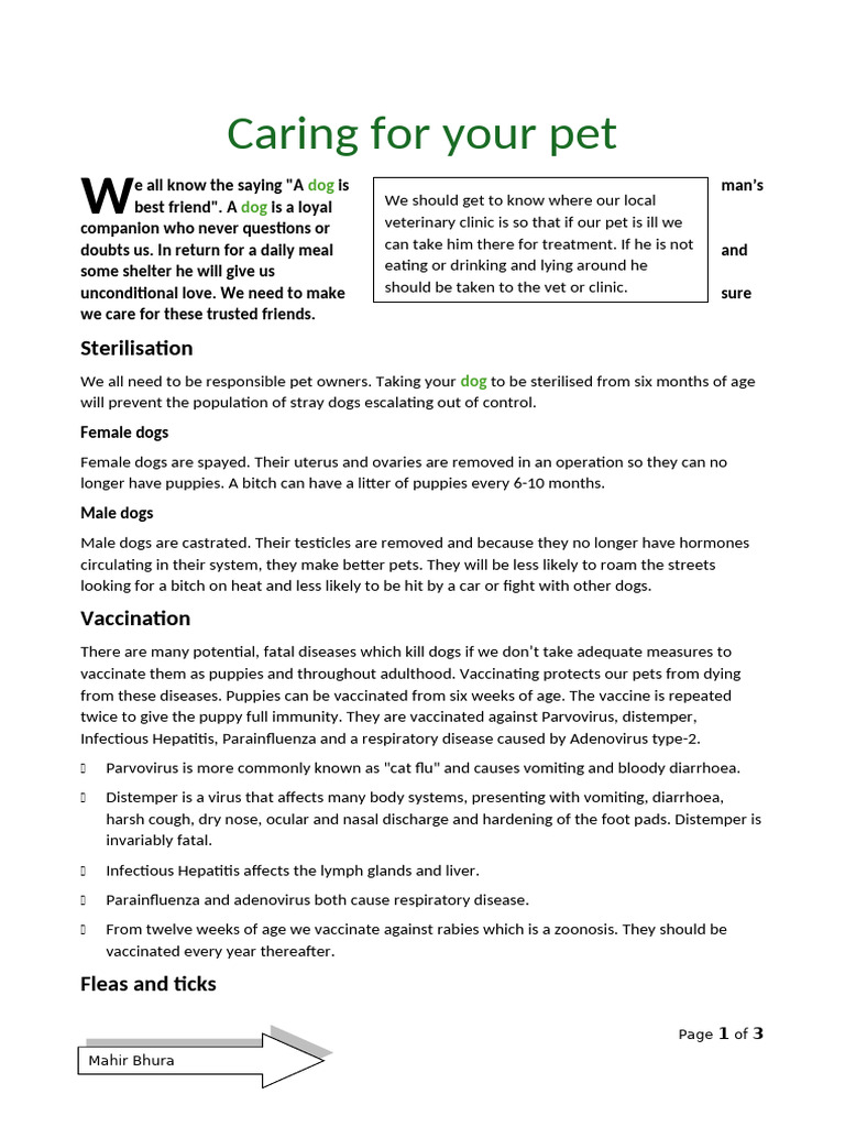 Caring For Your Pet | PDF | Dogs | Neutering