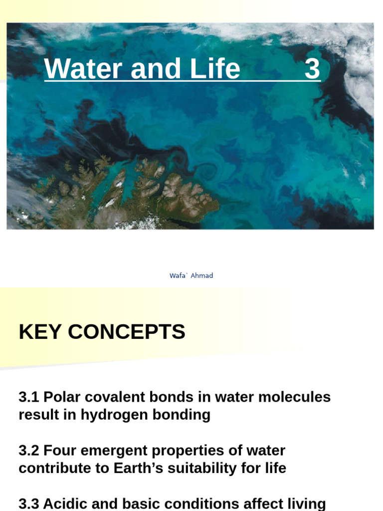 Water's Role in Supporting Life | PDF | Acid | Properties Of Water