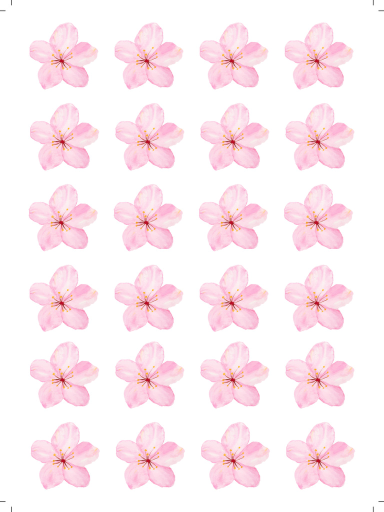 Sakura S | PDF