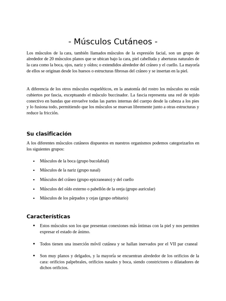 Músculos Cutáneos y Masticatorios | PDF | Tejido suave | Sistema ...