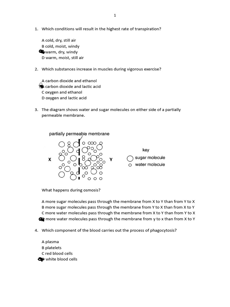 Content 3A 2F 2fcom - Whatsapp.provider - Media 2fitem 2F | PDF | Cell ...