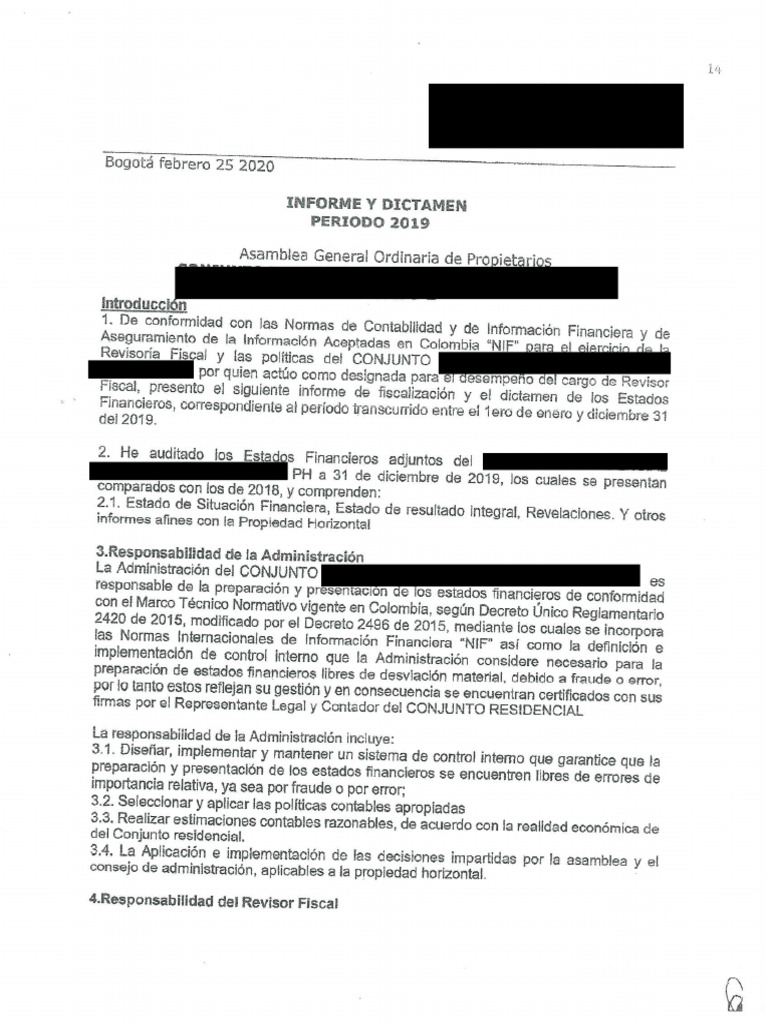 Informe Revisor Fiscal | PDF