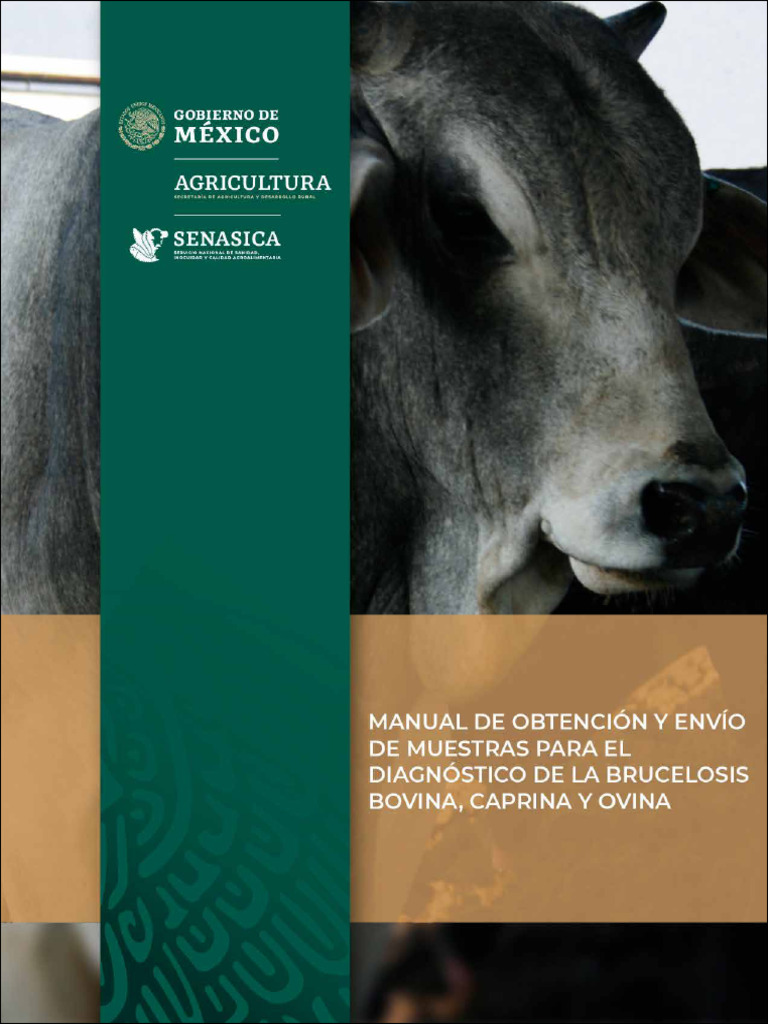 Manual de Obtenci N y Env o de Muestras para El Diagn Stico de La Brucel... | PDF ...