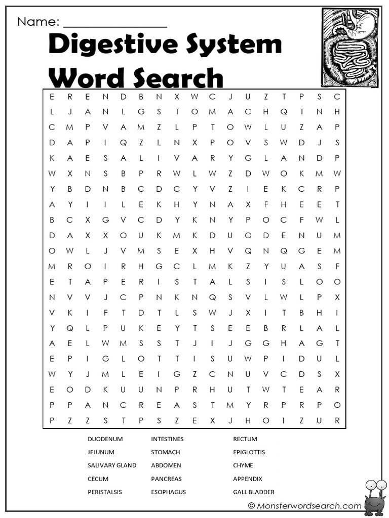 Digestive System Word Search | PDF