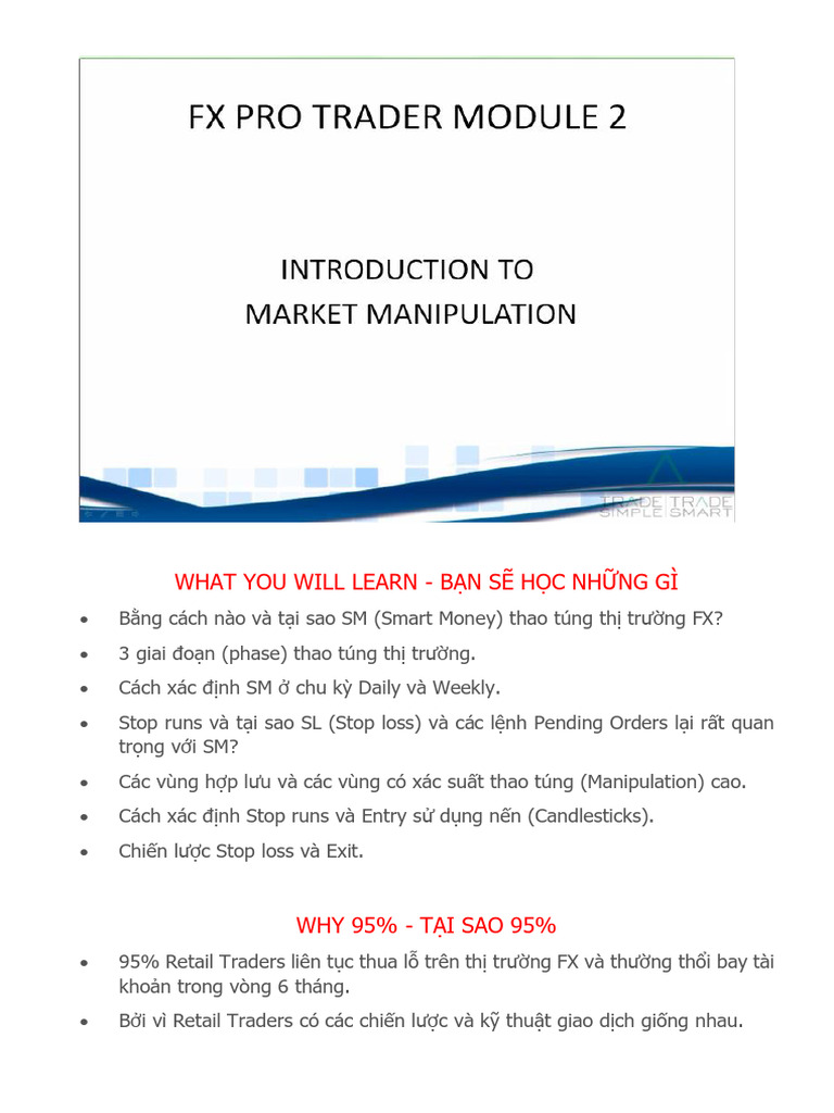 Forex Bank Trading Course VN 1 | PDF