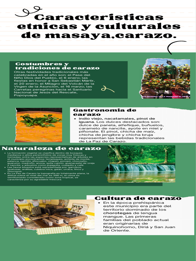 Plant Superpowers How They Adapt and Survive Education Infographic in ...