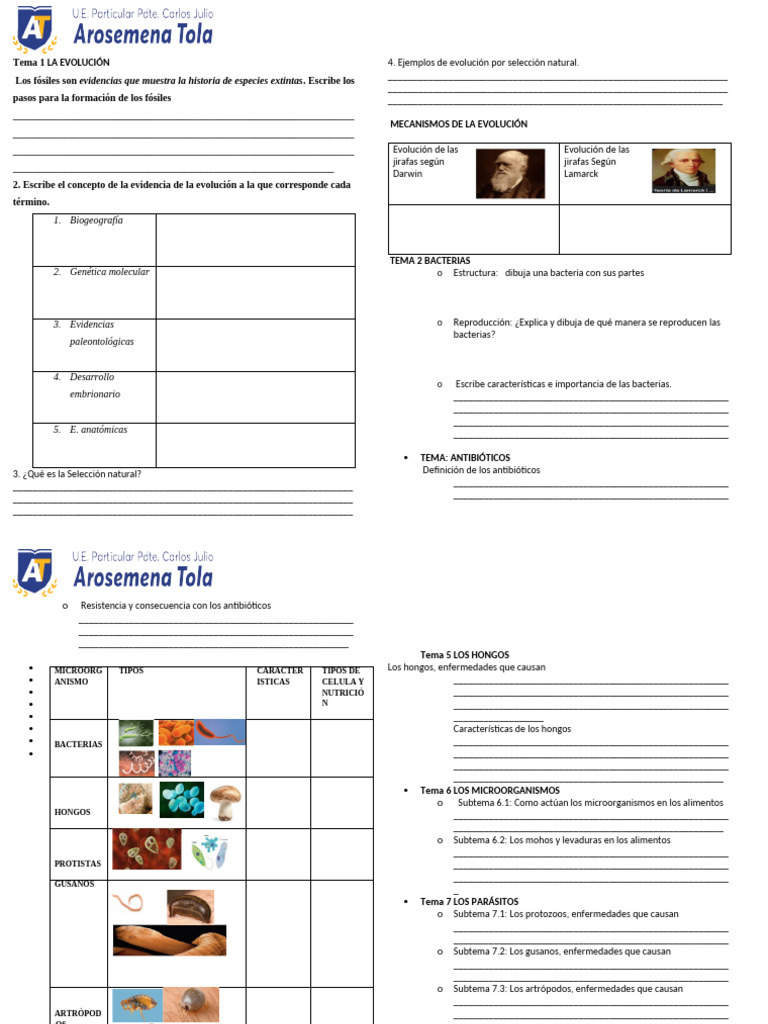 Taller de Repaso para Examen | PDF | Evolución | Hongo