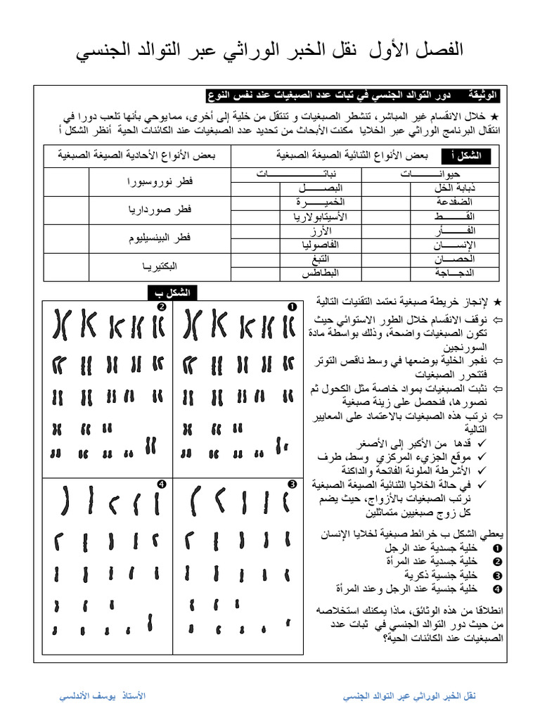 Docs Unité 3 Chap 1 | PDF