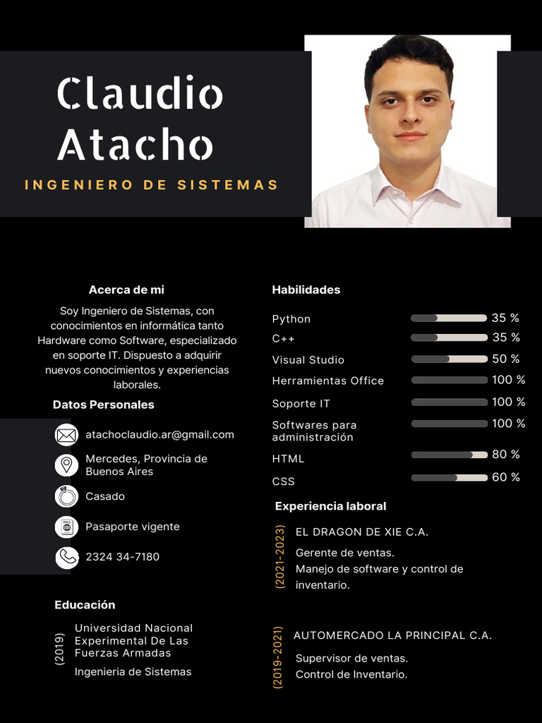 CV Claudio Arg | PDF | Ciencias de la Computación | Ingeniería