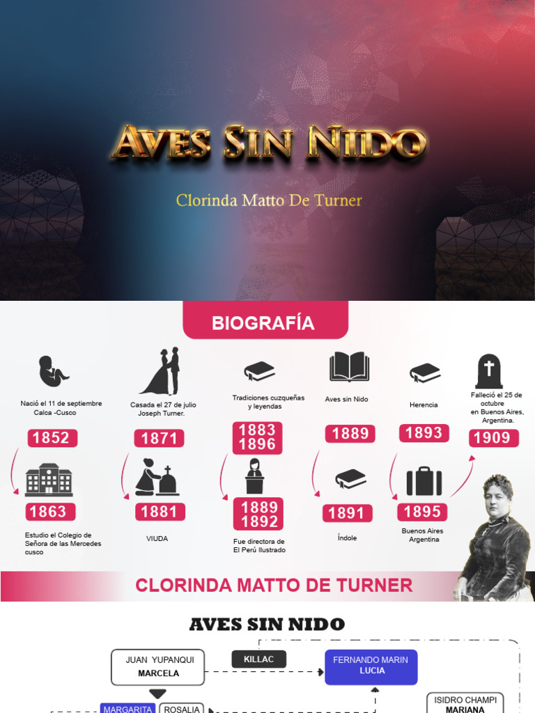 Obra Aves Sin Nido | PDF