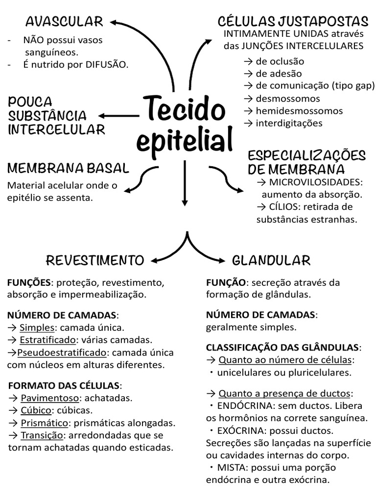 Mapa Mental - Tecido Epitelial | PDF