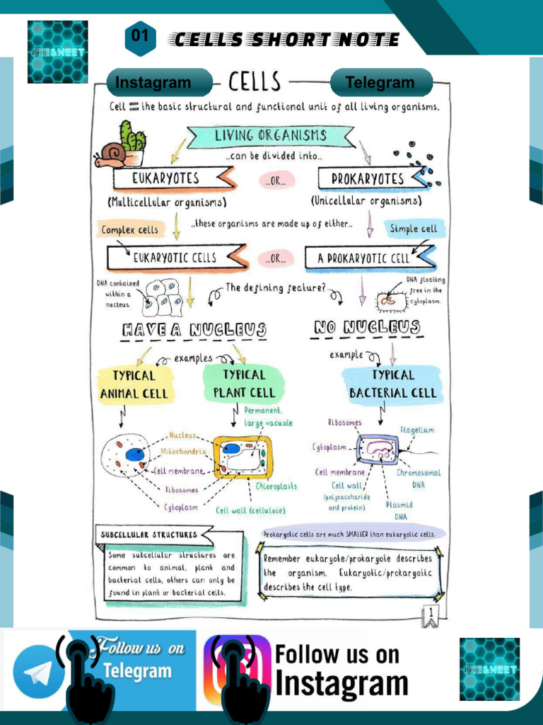 Cell Short Notes | PDF