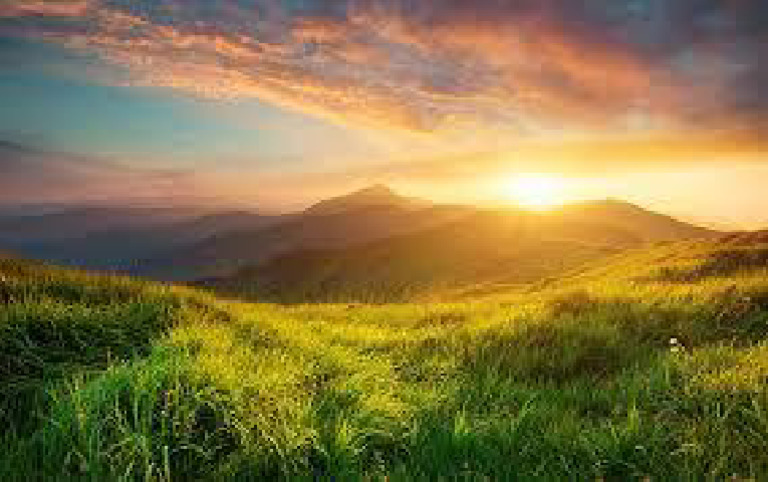 Transferir - 1 | PDF