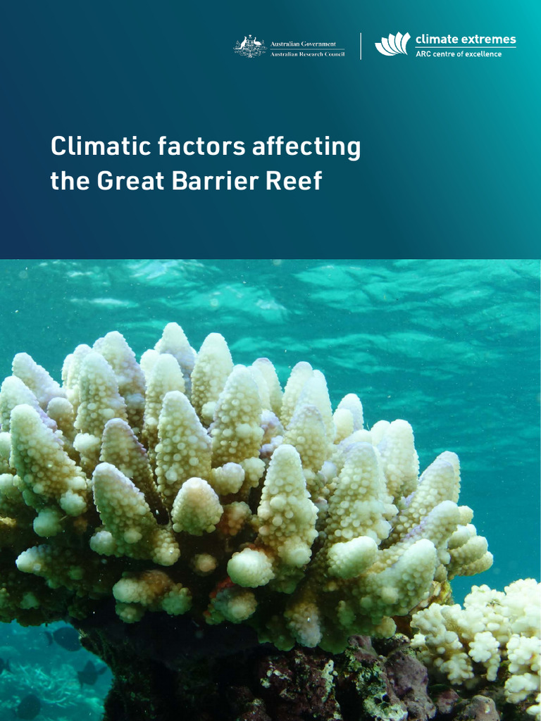 Coral Bleaching Briefing Note | PDF | Coral | Coral Reef