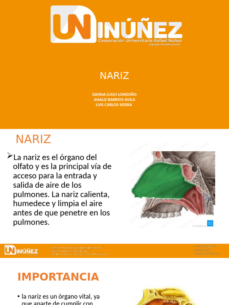 NARIZ | PDF