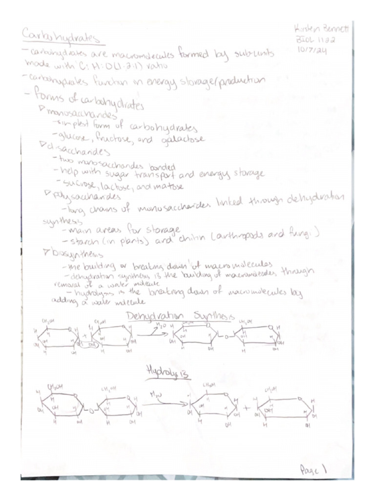Written Assignment Macromolecules | PDF