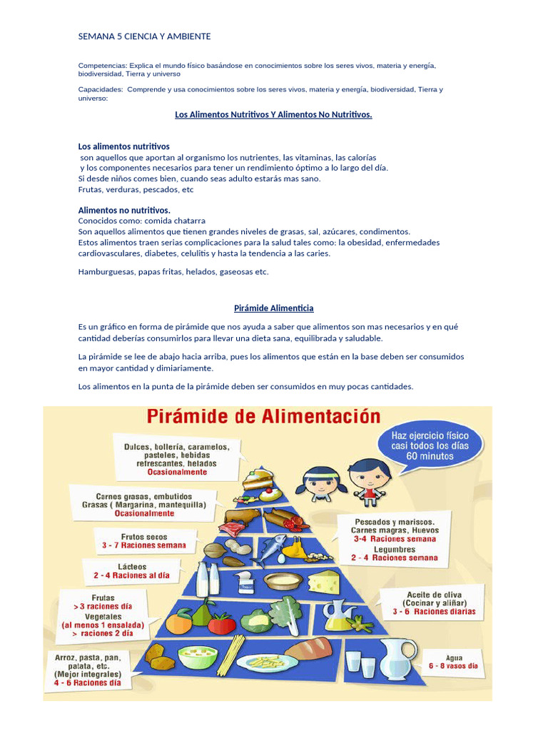 Piramide Alimenticia Alimentos Nutritivos y No Nutritivos | PDF | Nutrición | Dieta y nutrición