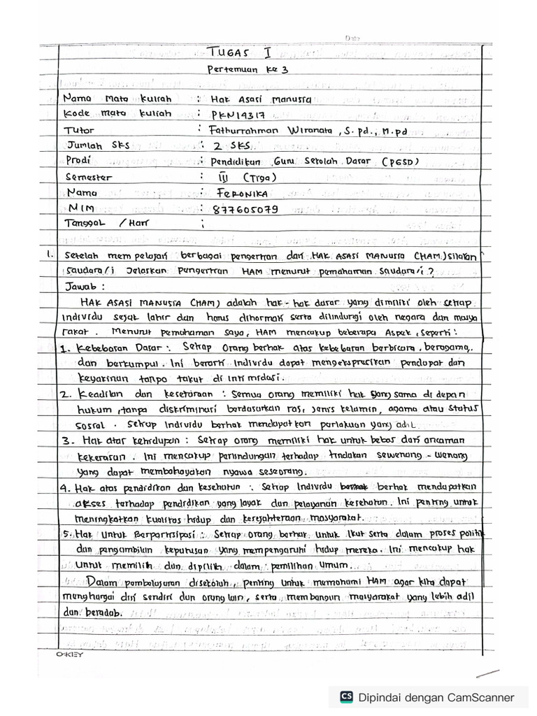 Tugas 1 HAM - FERONIKA - 877605079 | PDF