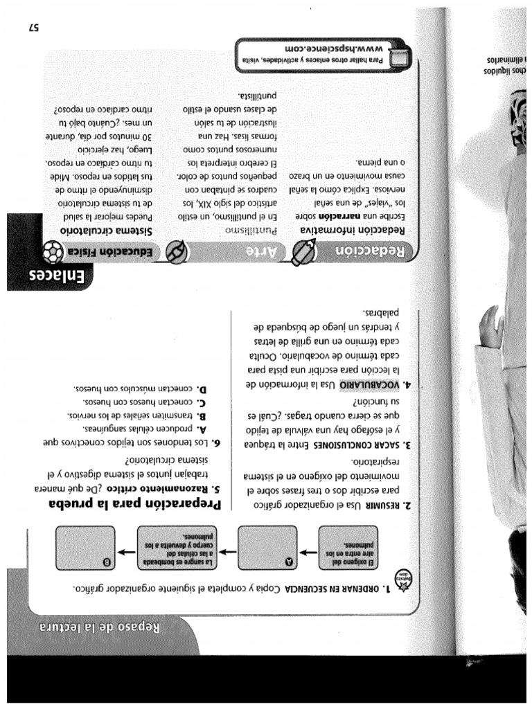 Capitulo 1 - Leccion 3 | PDF