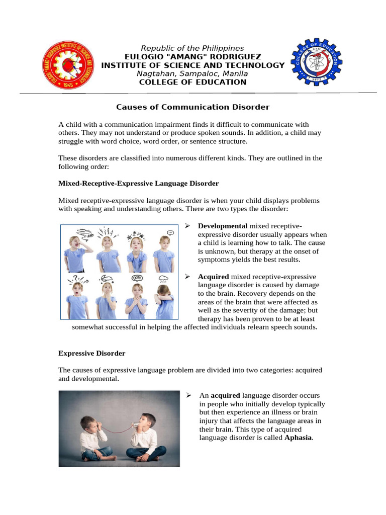 Causes of Communication Written Report | PDF | Aphasia | Behavioural Sciences