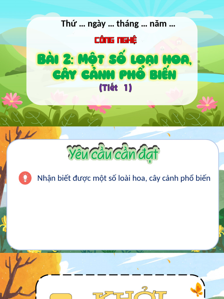 t1 Bai 2 Mot So Loai Hoa Cay Canh Pho Bien - 2211202322 | PDF