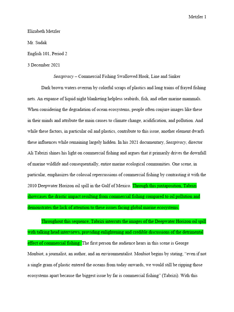 Sample Ra Essay | PDF | Oil Spill | Oceanography