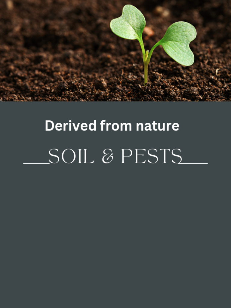 Soil Guide | PDF | Compost | Soil