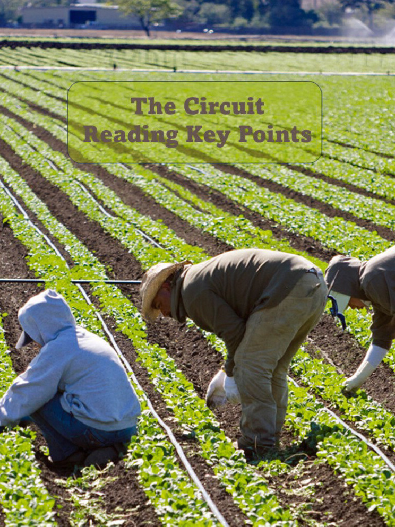 The Circuit Reading Key Points | PDF