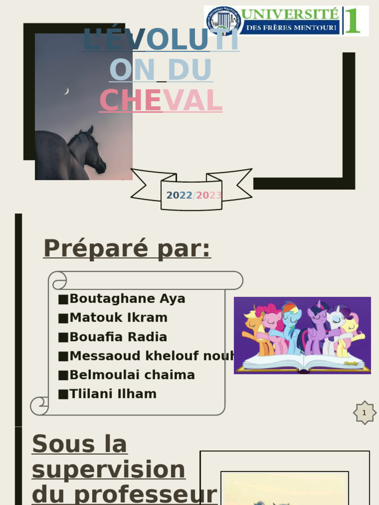 Évolution du cheval à travers le temps | PDF | Équidés | Zèbre