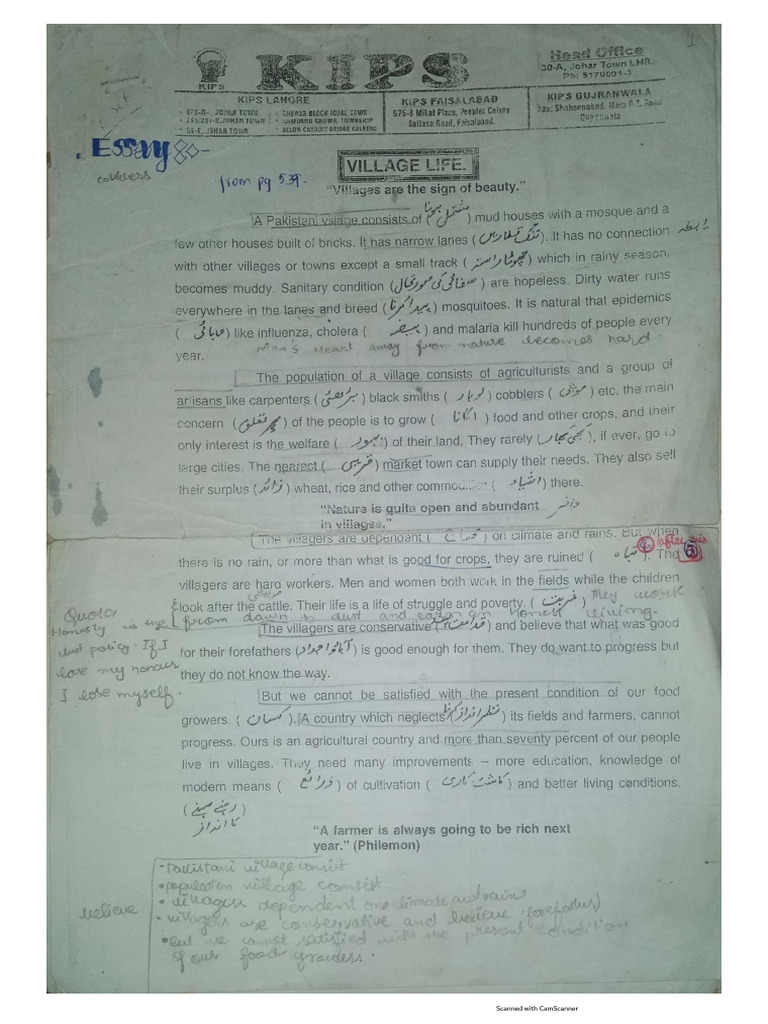 Kips PDF File (Eng Essay) | PDF