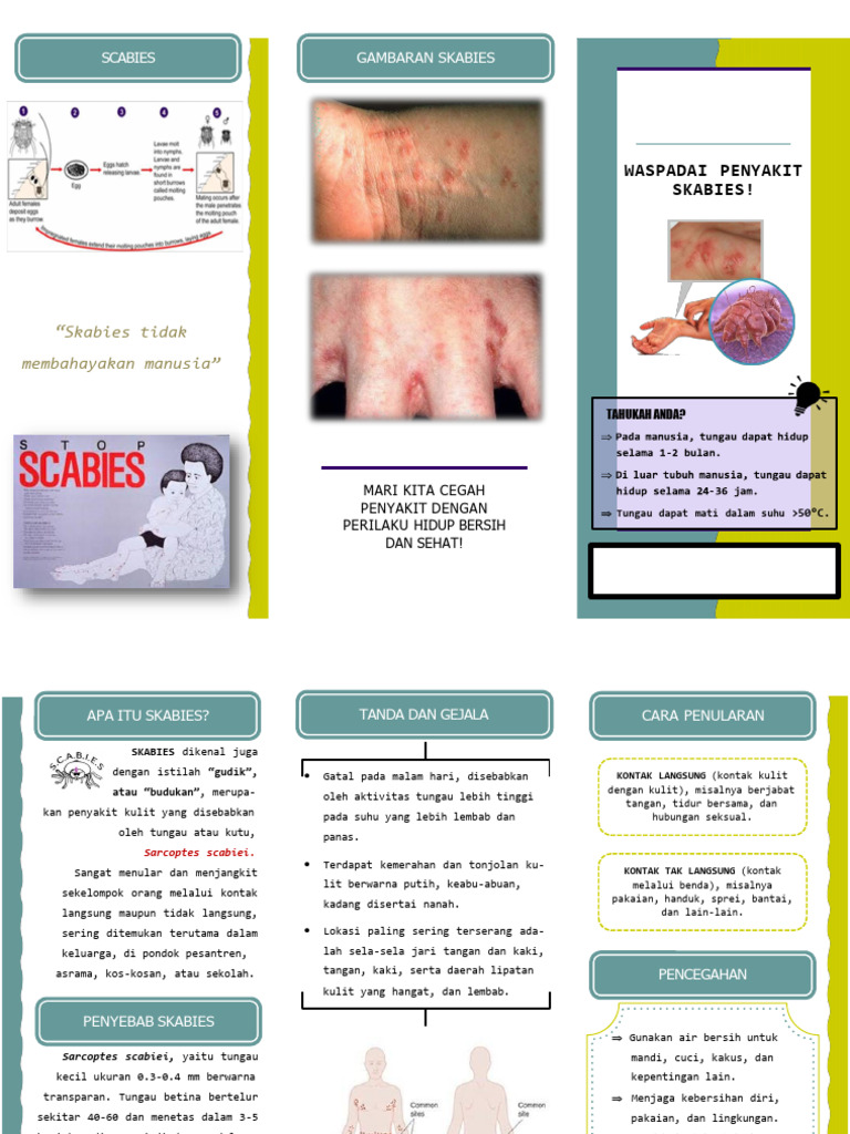 Leaflet Scabies - UKS - Kelompok 6 | PDF