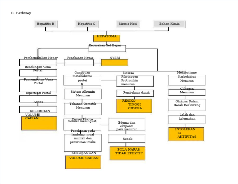 Pathway Hepatoma DD | PDF