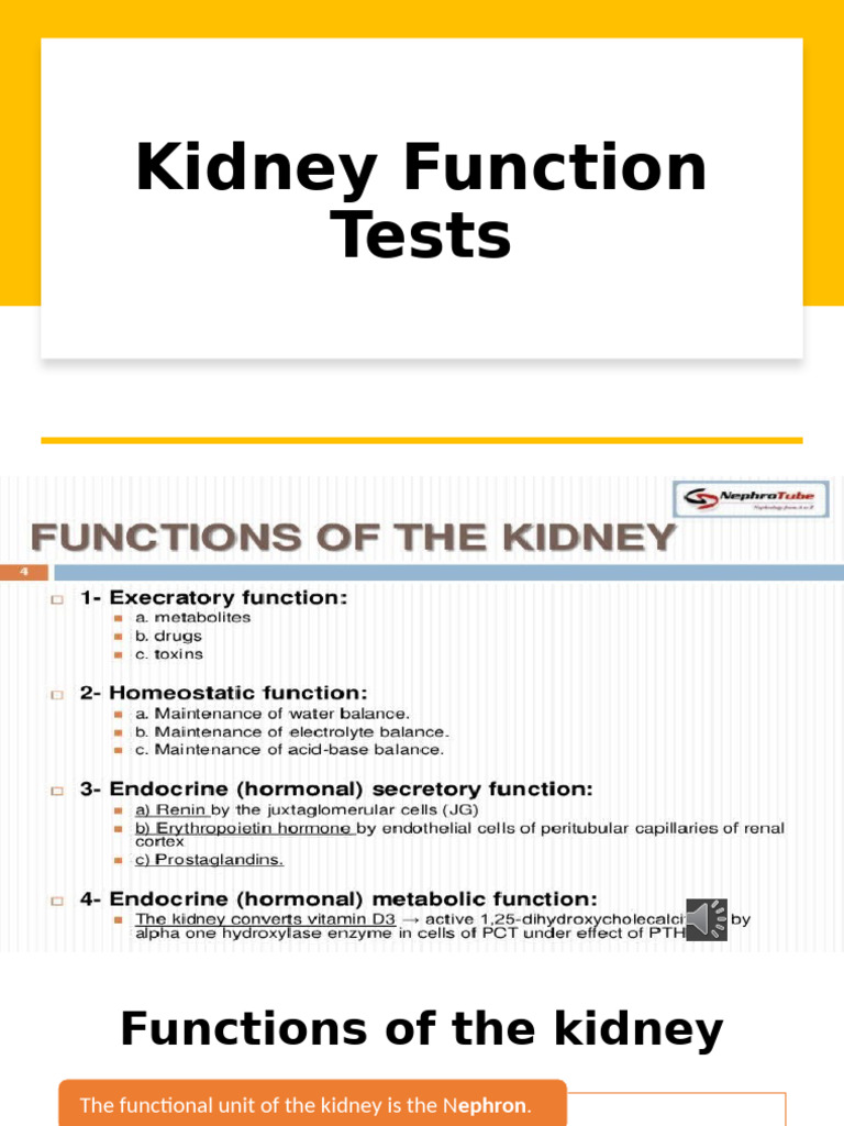 Kidney Function Tests | PDF | Creatinine | Kidney