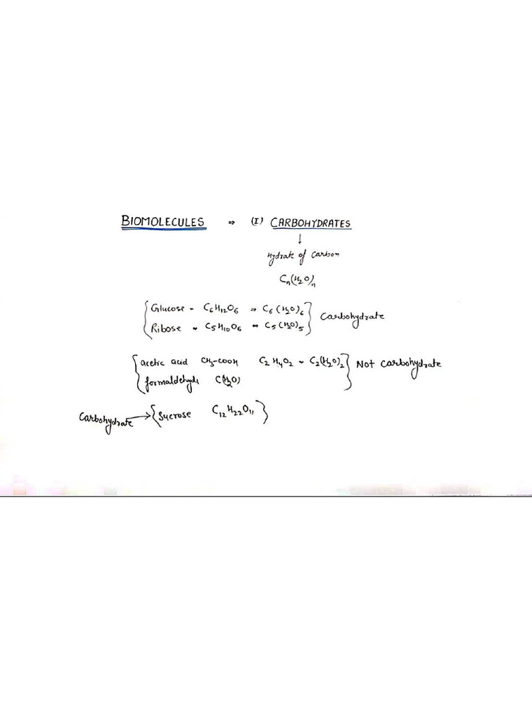 Bio Molecules | PDF