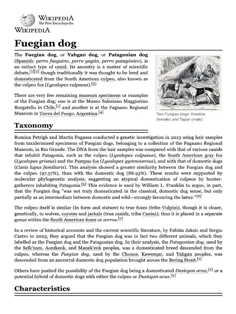 Fueguian Dog | PDF
