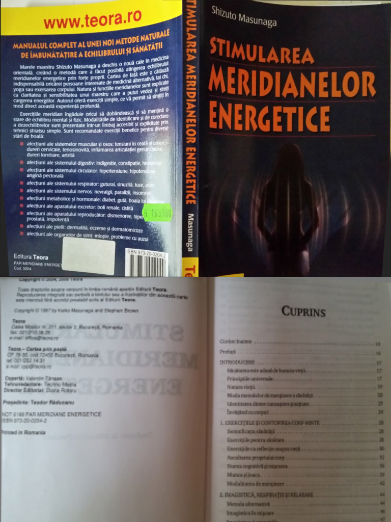 MERIDIANE Energetice | PDF